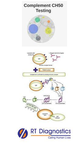 CH-50 (Complement Total) | RT Diagnostics