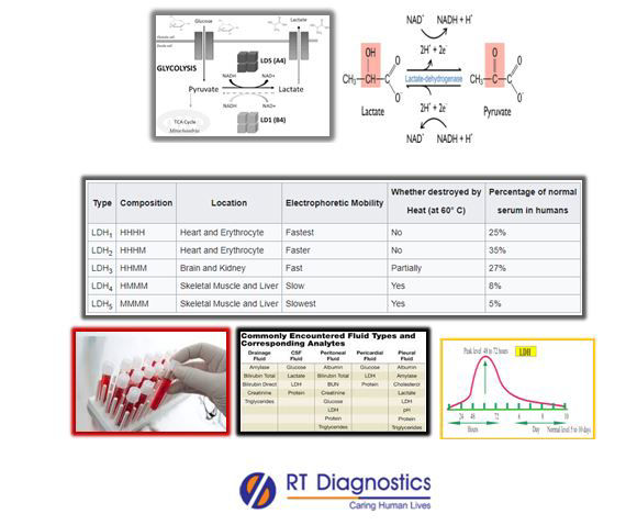 Fluid For LDH | RT Diagnostics